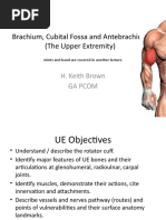 Muscles of The Dogfish | PDF | Pelvis | Mouth