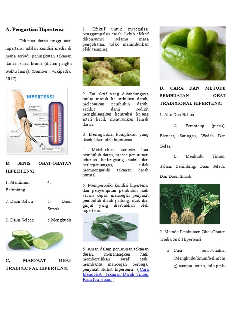 Leaflet Obat Tradisional HT | PDF