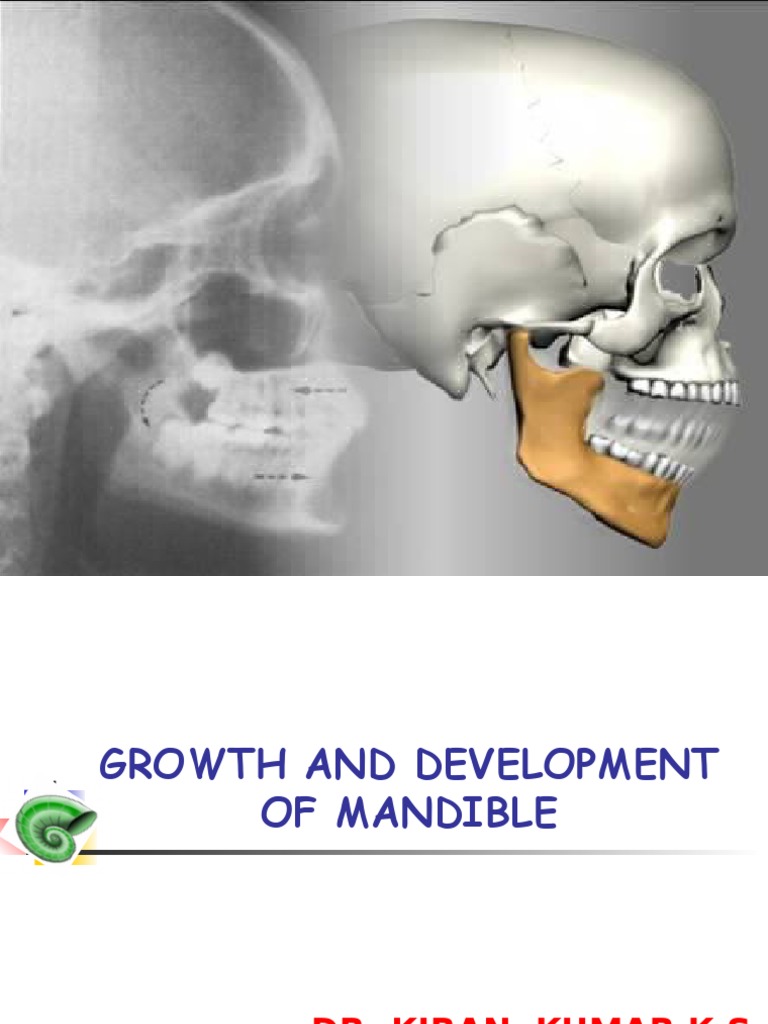 Growth and Development of Mandible Kiran | PDF | Bone | Anatomy