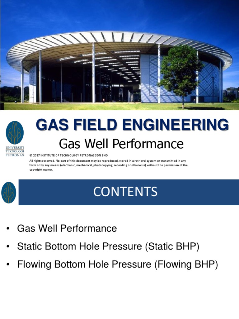 Gas Well Performance | PDF | Fluid Dynamics | Reynolds Number