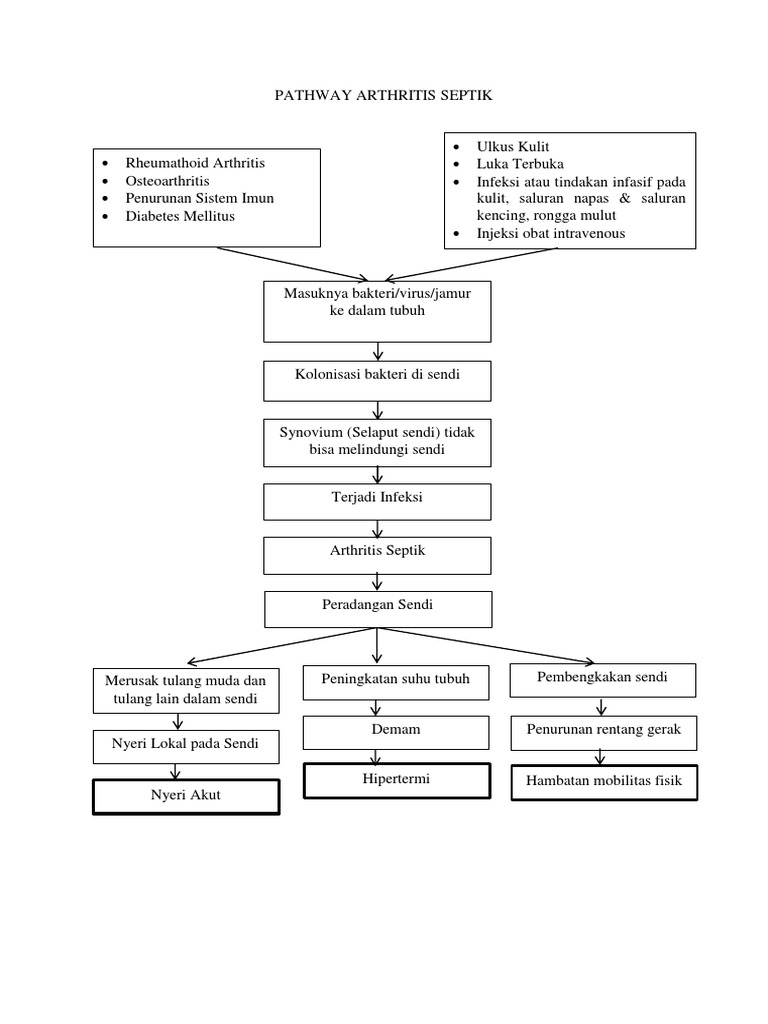 Pathway Arthritis Septik | PDF