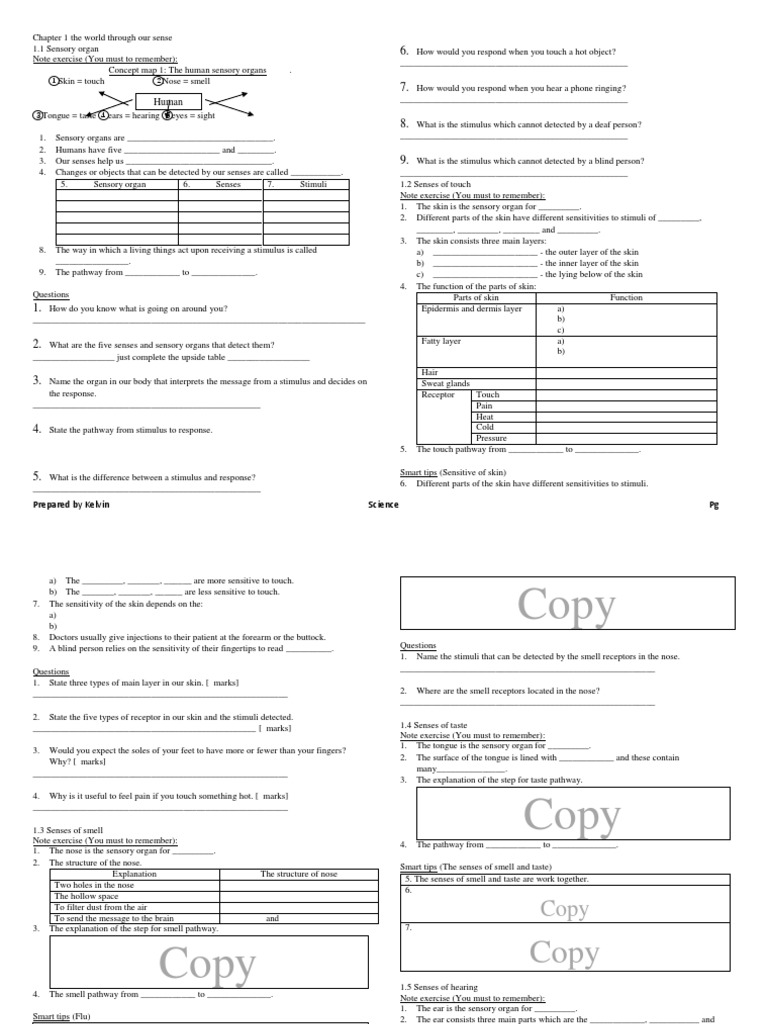 Form 2 Science Notes +exercise by Kelvin - Chapter 1 | PDF | Senses ...