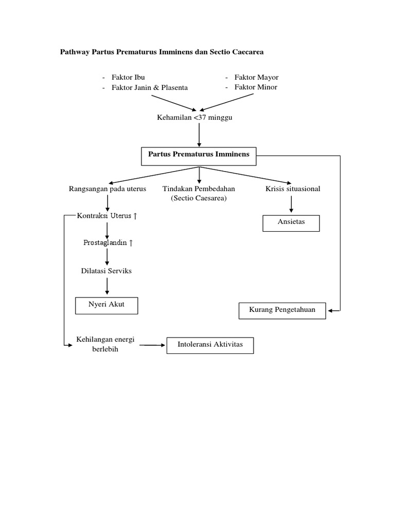 Pathway Partus Prematurus Imminens Dan Sectio Caecarea