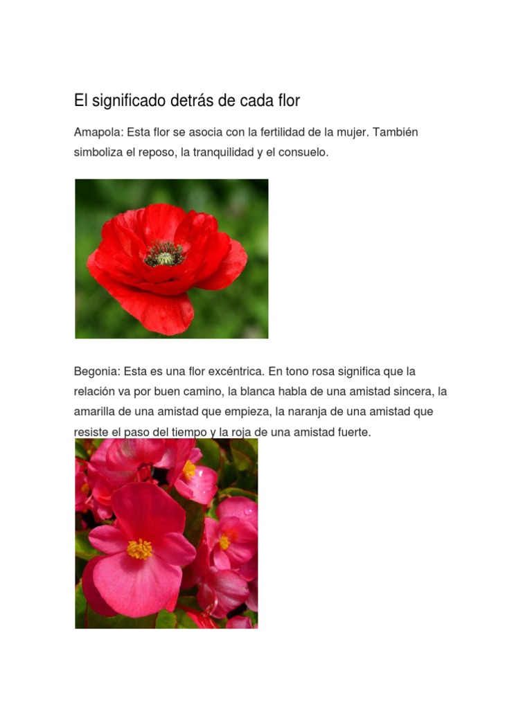 Significado de las flores y su simbolismo | PDF | Flores | Exploración