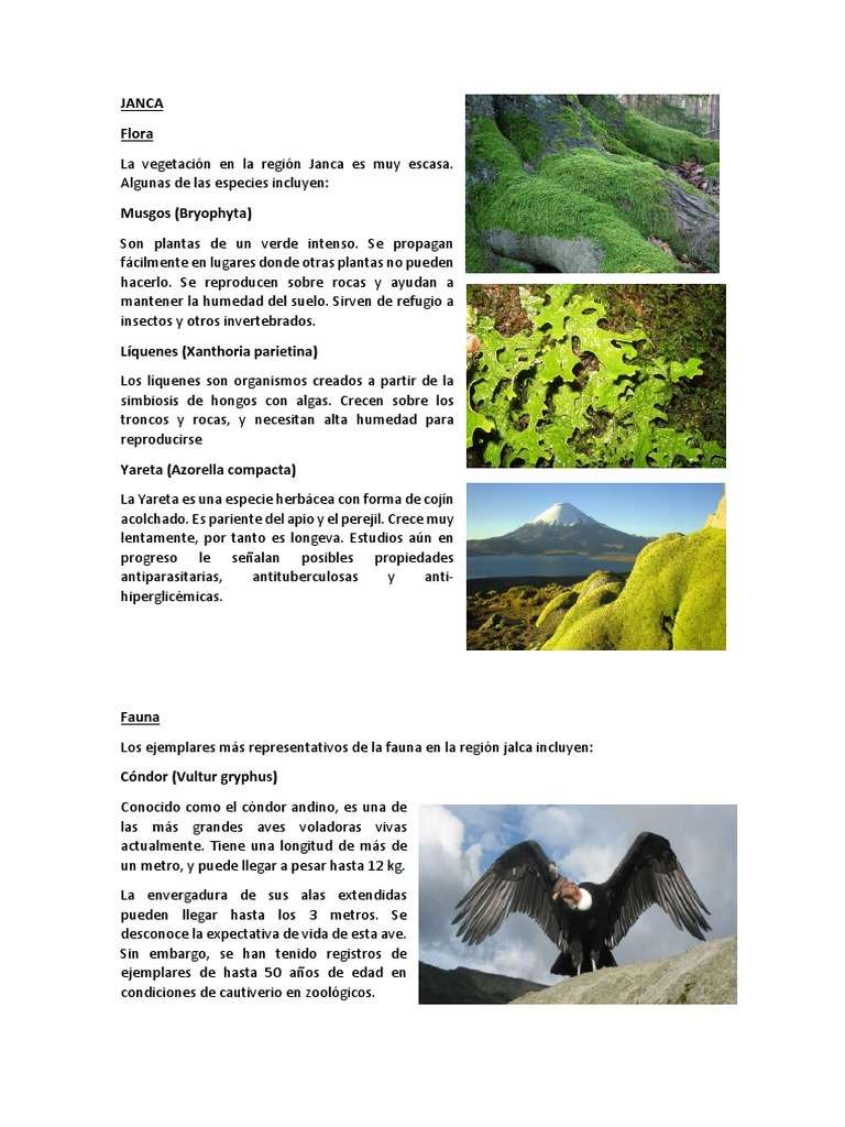 Flora y Fauna de La Region Janca | PDF