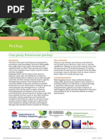 Pechay Production | PDF | Sowing | Organic Farming