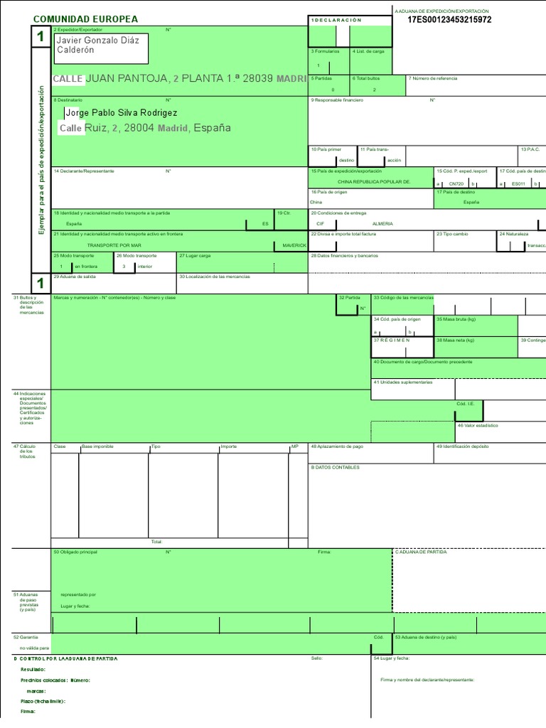 Dua Excel | PDF | aduana | Unión Europea