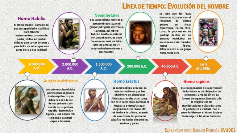 Linea de Tiempo Evolucion | PDF | Homo | Evolución humana