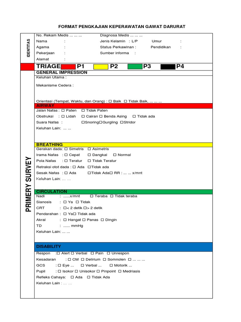 Format Pengkajian Kep Gadar Kritis | PDF