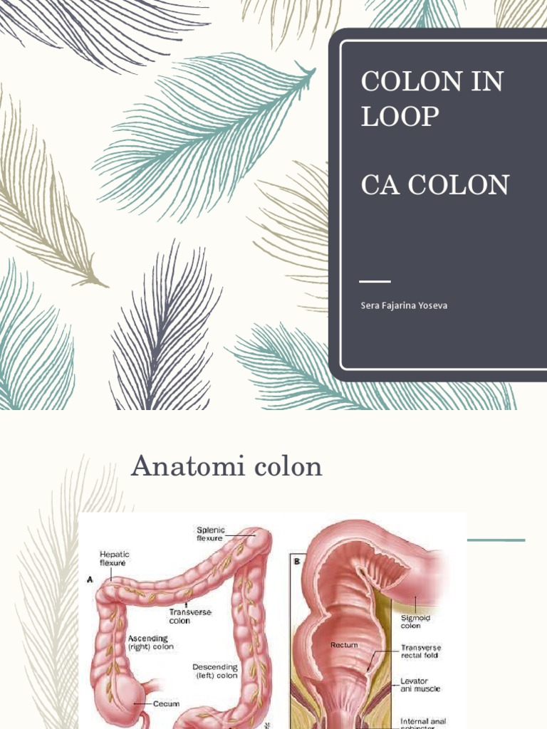 Colon in Loop | PDF