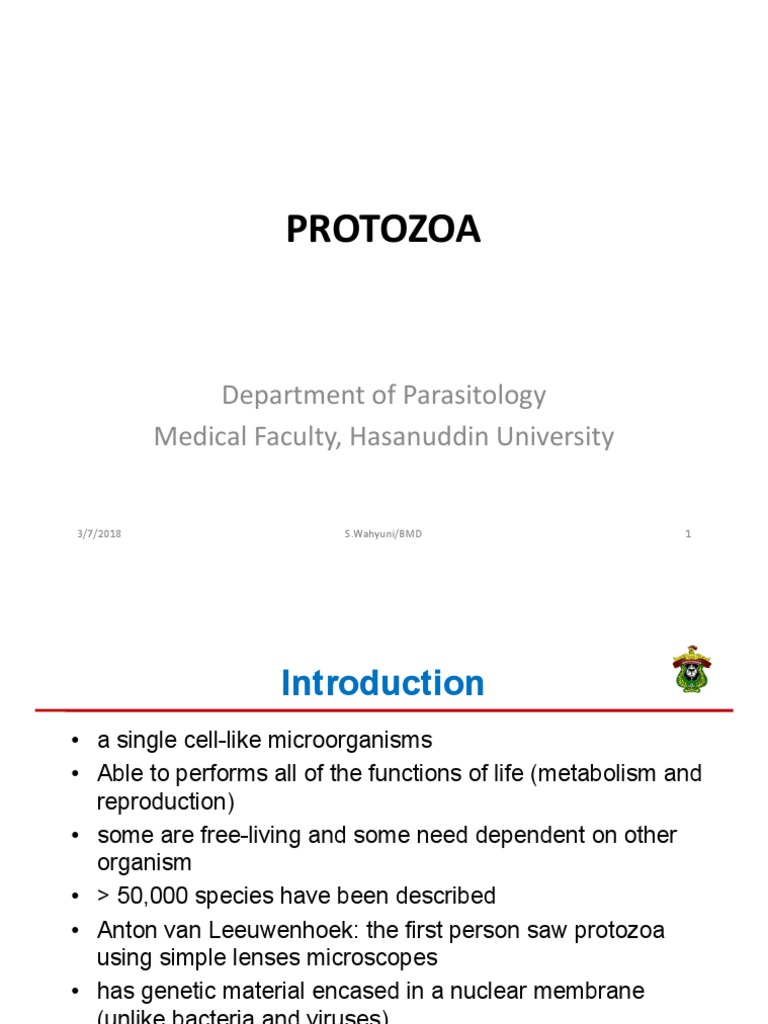 Overview of Protozoa: Structure and Life Cycle | PDF | Protozoa ...