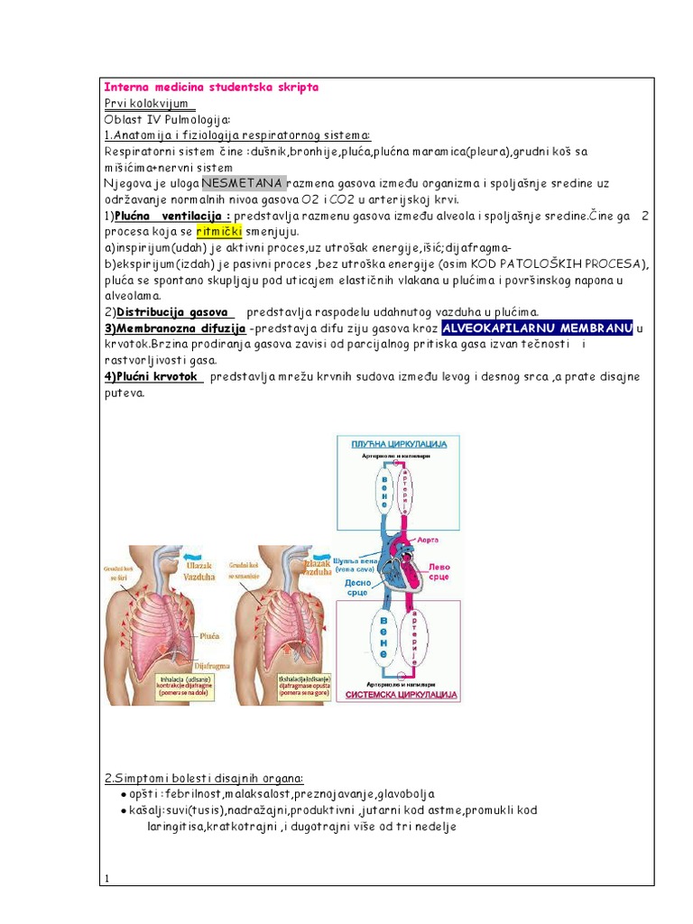 Im Pulmologija | PDF
