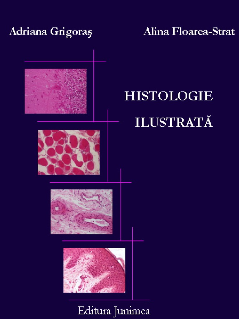Histologie | PDF