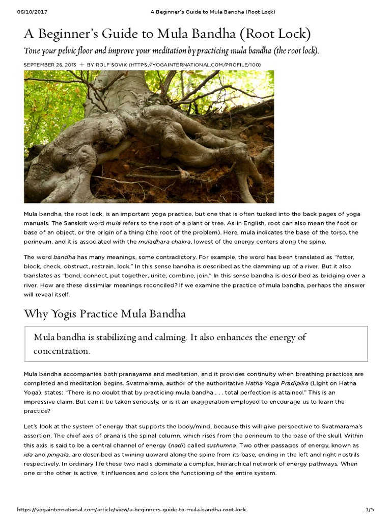 A Beginner's Guide To Mula Bandha (Root Lock) | PDF | Hatha Yoga | Prana