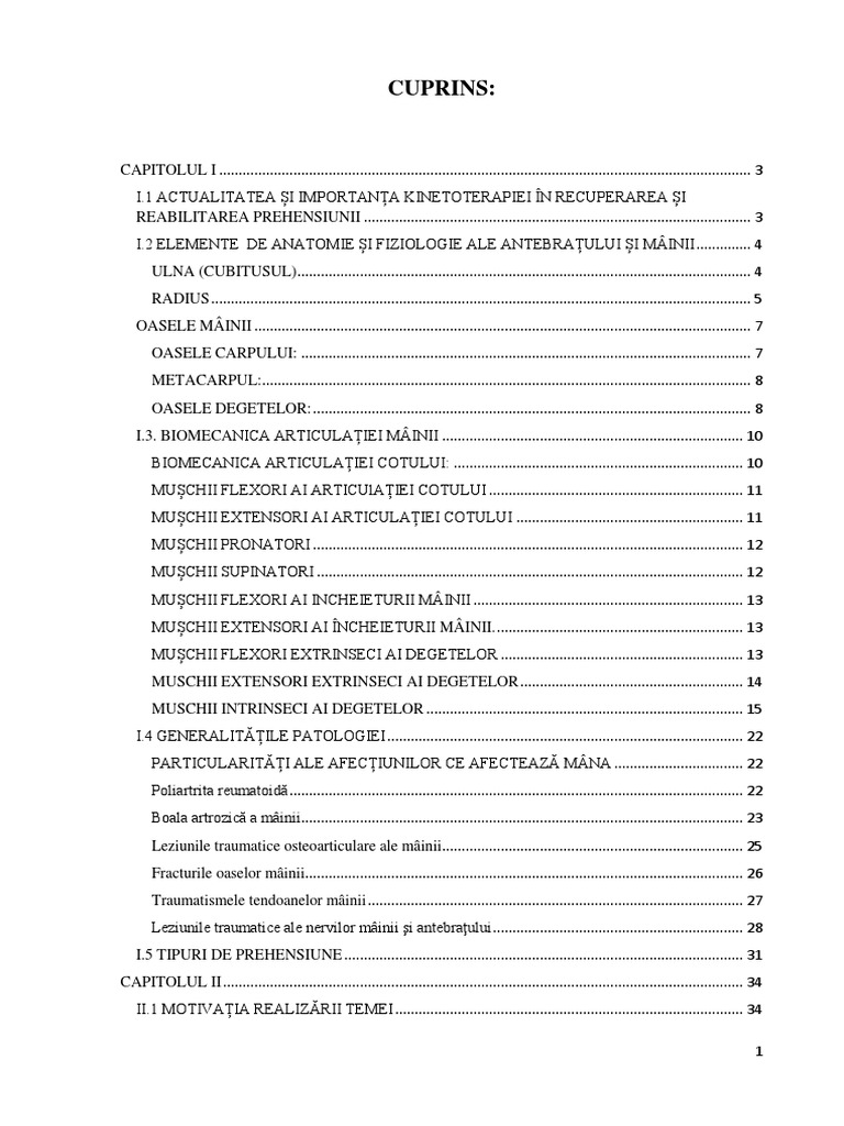 Licenta Cuprins Irina | PDF