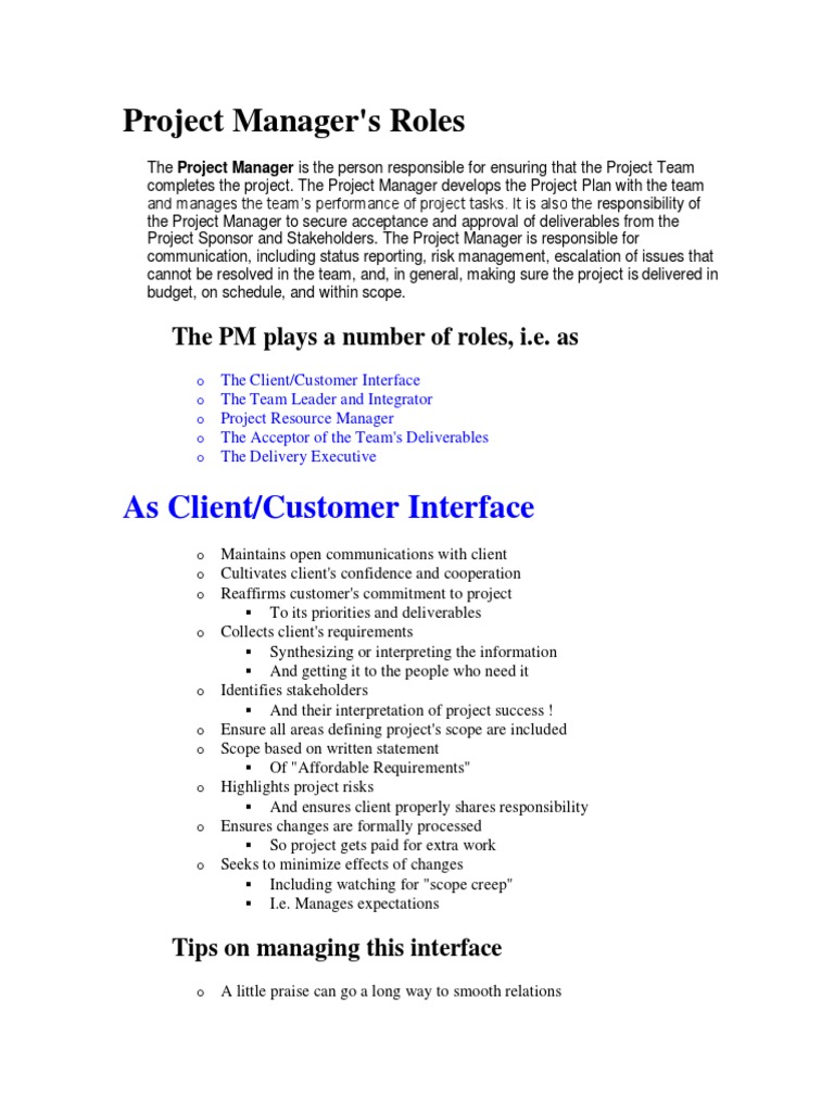 Project Manager's Roles | PDF | Project Management | Business