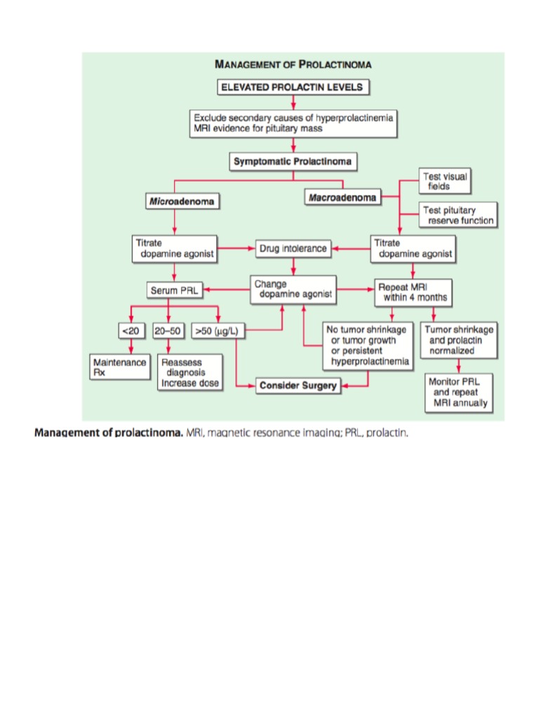 Endo Harrisons Algorithms | PDF