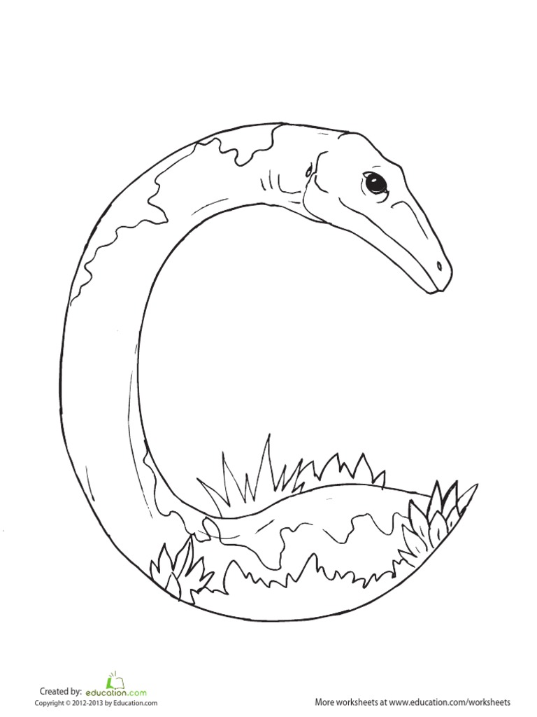 Dino C | PDF