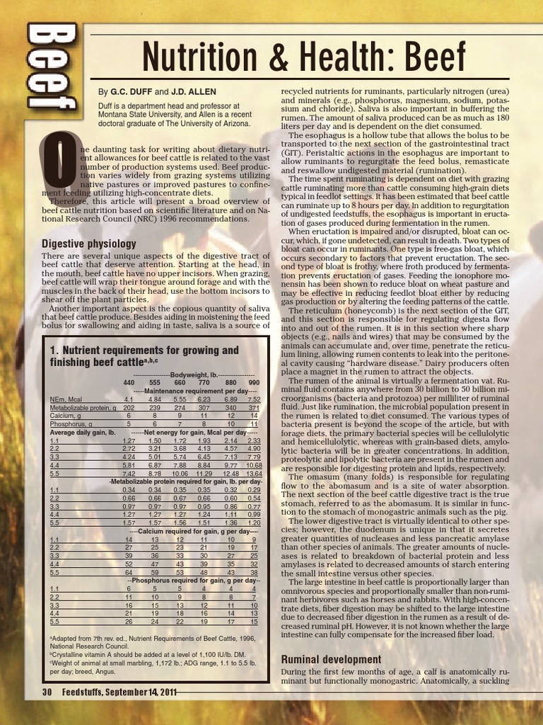 06 - Nutrition - Health Beef PDF | PDF | Ruminant | Selenium