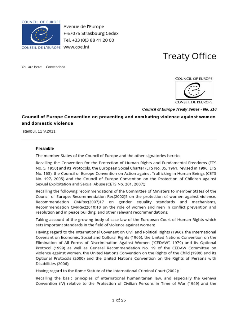 Council Of Europe Convention On Preventing And Combating Violence