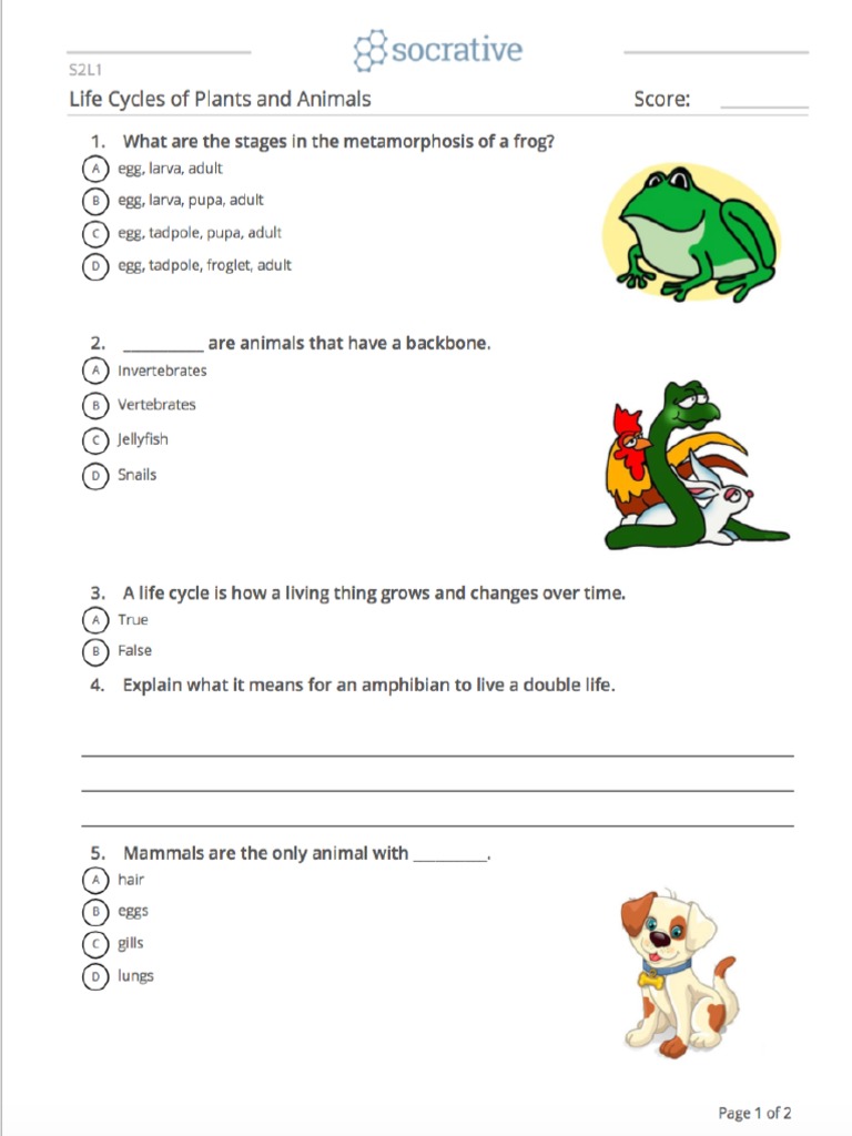 Life Cycle of Plants and Animals 1 | PDF