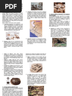 Teoría Asiática de Alex Hrdlicka | PDF | Antropología
