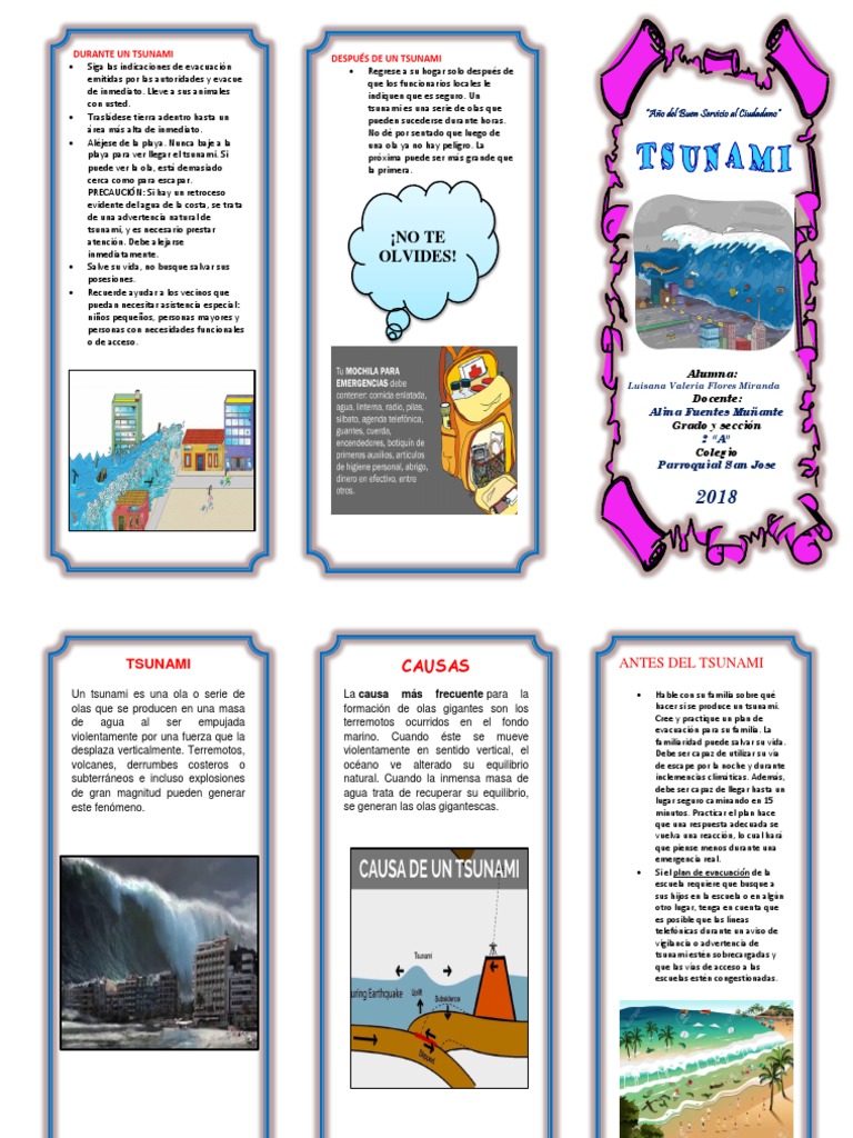 Triptico Tsunami | Tsunami | Ciencias de la tierra y de la vida