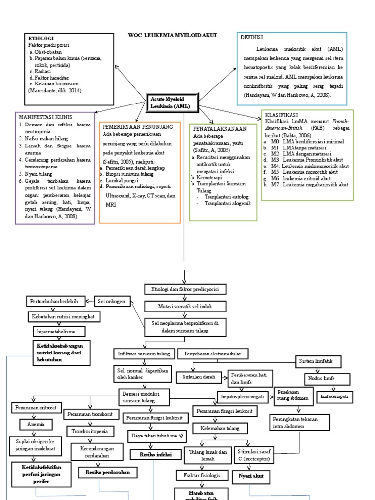 WOC AML Non Infeksi Juni | PDF