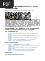 Plan de Antrenament | PDF