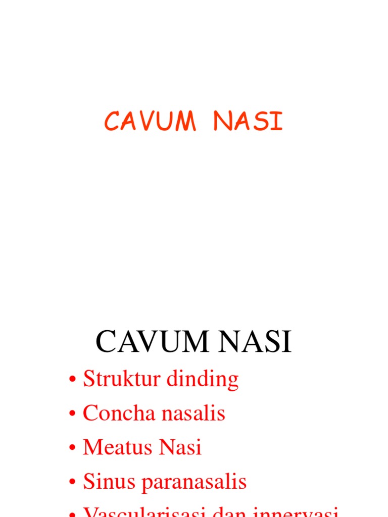 Cavum Nasi | PDF