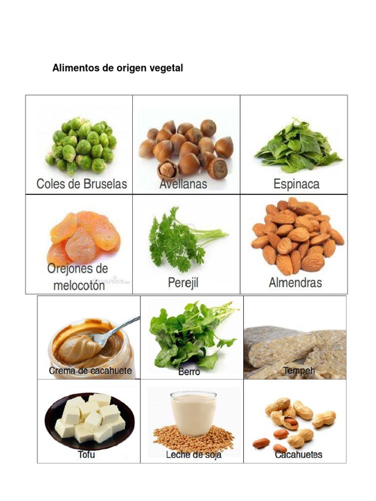 Alimentos de Origen Vegetal, Alimentos de Origen Animal