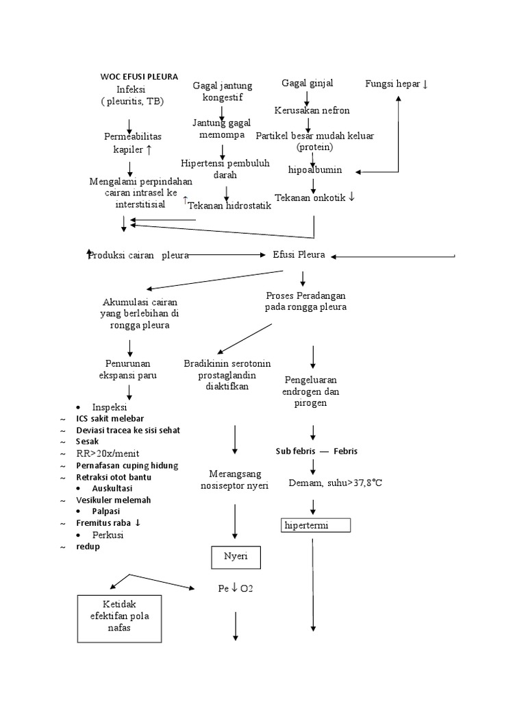 Woc Askep Efusi Pleura | PDF