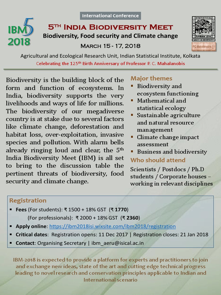 IBM-2018 Flyer Online | PDF