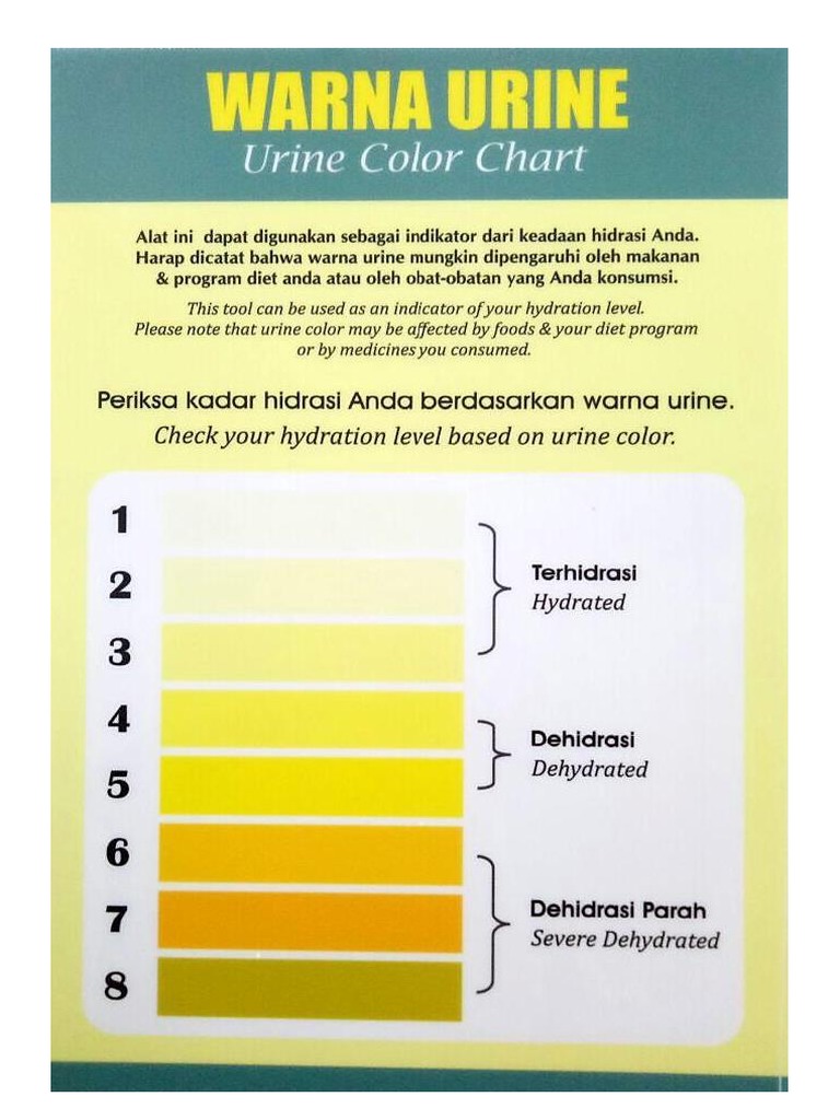 Print Urin | PDF