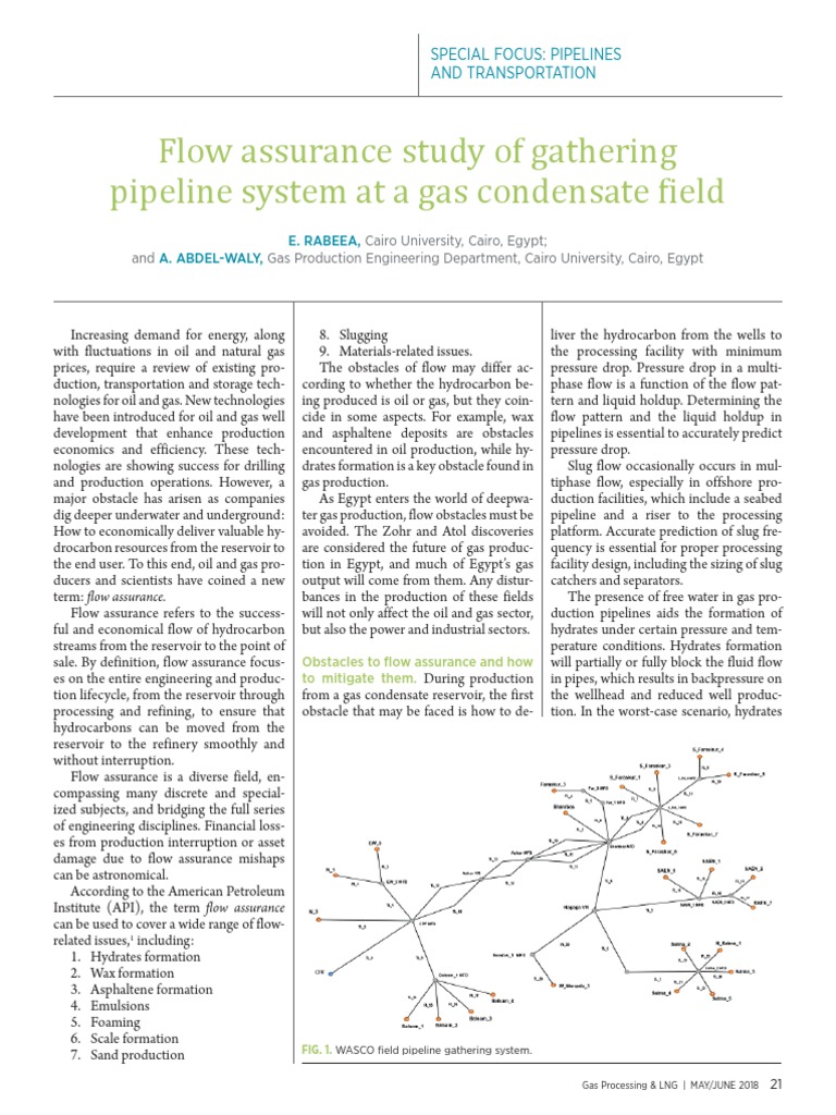 Flow Assurance Study | PDF | Natural Gas | Pipeline Transport