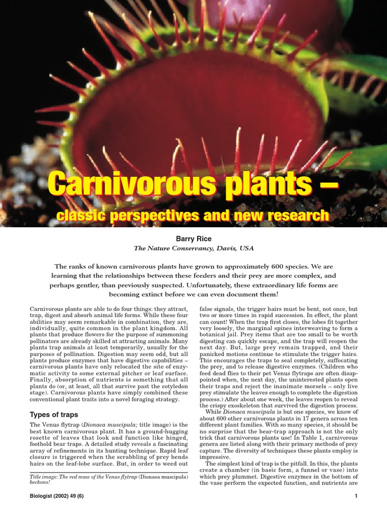 Carnivorous Plants | PDF | Ecology | Horticulture And Gardening