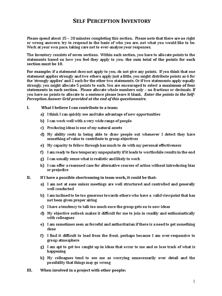 Belbin Self-Perception Inventory Guide | PDF | Inventory | Perception