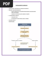 Signo de Mapache | PDF | Lesión | Medicina