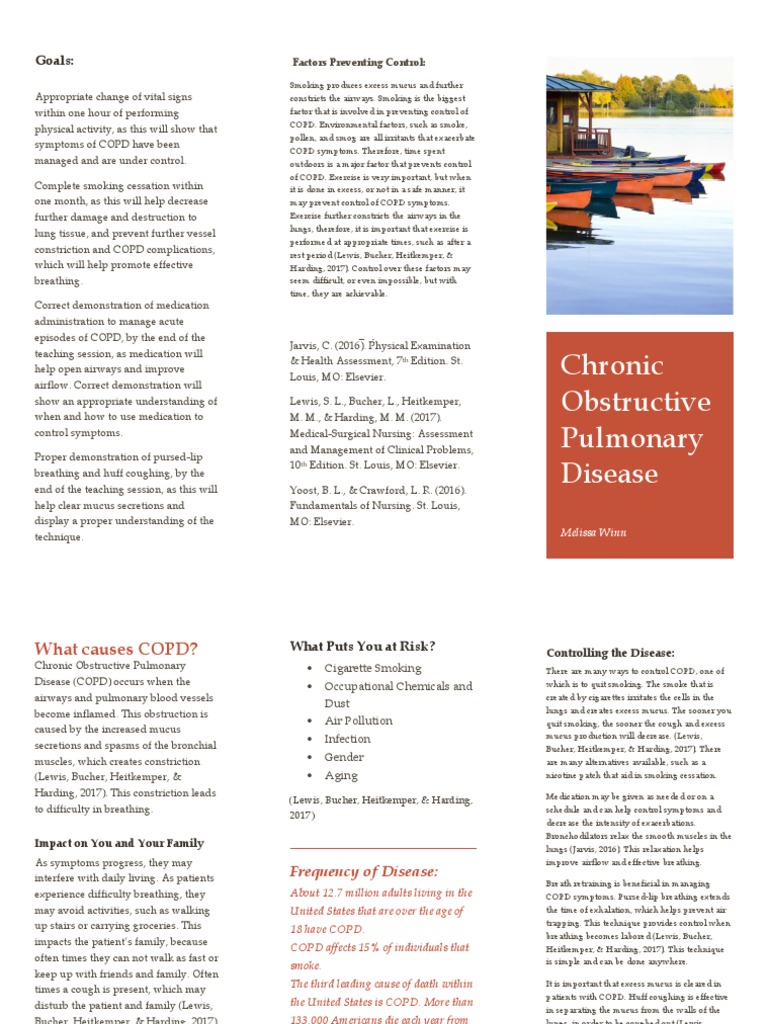Copd Brochure PT | PDF | Chronic Obstructive Pulmonary Disease | Lung