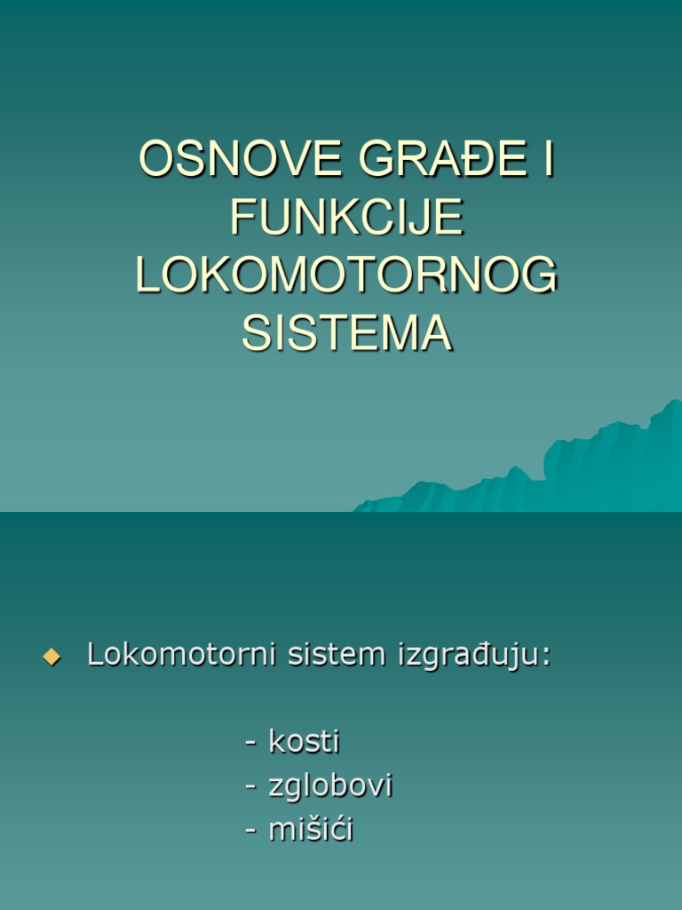 Anatomija 1 Lokomotorni Sistem Spojevi Ruke | PDF