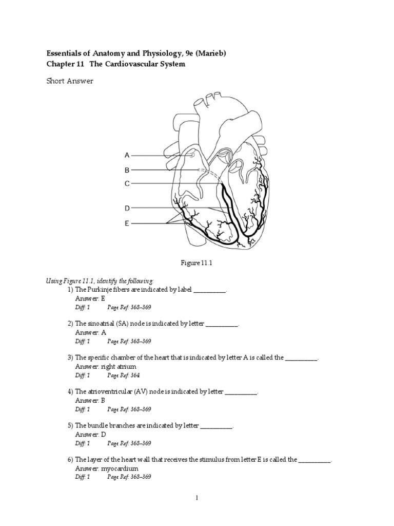 Short Answer: Essentials of Anatomy and Physiology, 9e (Marieb) Chapter ...