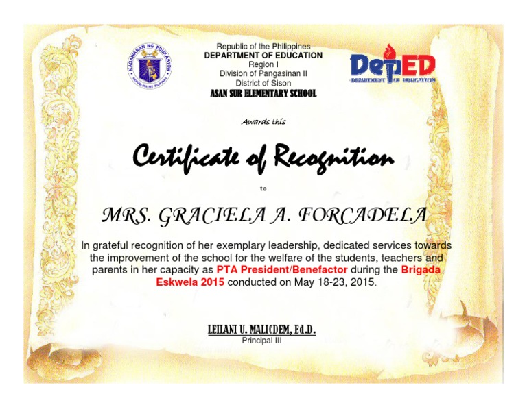 Certificate Brigada | PDF