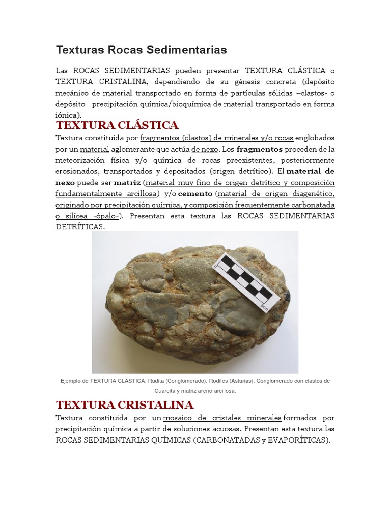 Texturas Rocas Sedimentarias | PDF | Roca sedimentaria | Roca (geología)