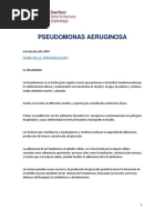 RUTA MATERNO PERINATAL 3280.. | PDF | El embarazo | Parto