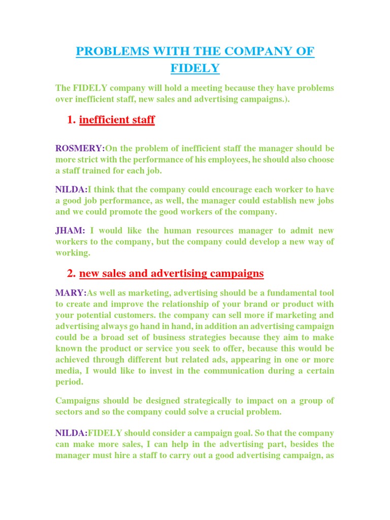 FIDELY Company Meeting: Staff & Sales Issues | PDF | Promotion And ...