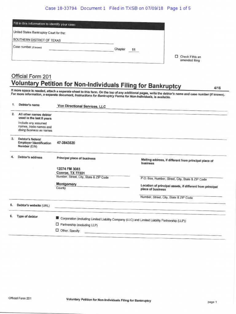 Voluntary Petition For Non-Individuals Filing For Bankruptcy | PDF ...