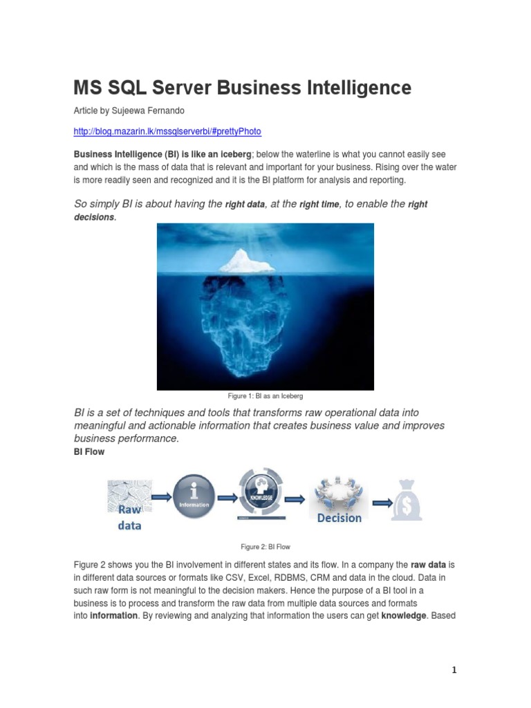 MS SQL Server Business Intelligence | PDF | Business Intelligence ...