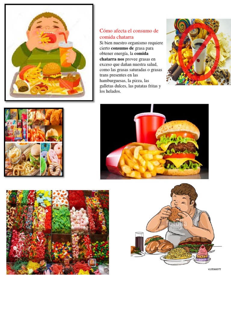 Cómo Afecta El Consumo de Comida Chatarra | PDF