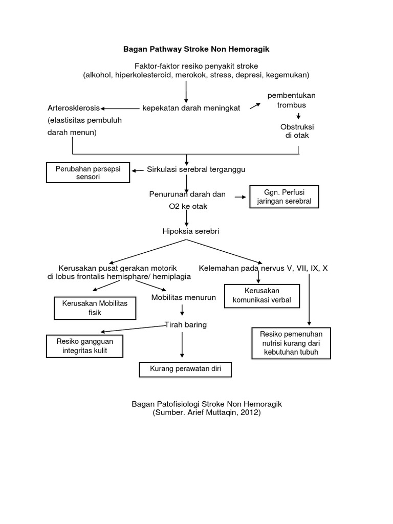 Bagan Pathway Stroke Non Hemoragik | PDF