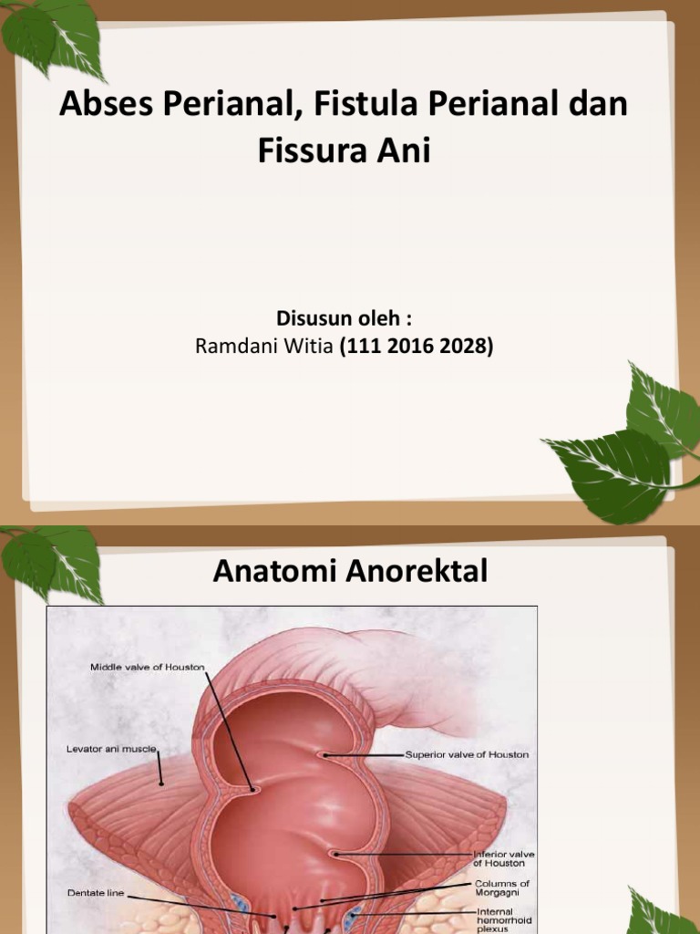 Abses Perianal, Fistula, Dan Fissura Ani | PDF | Kesehatan Holistik